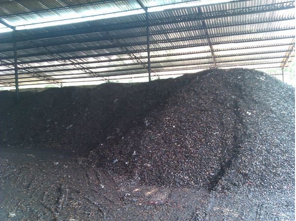 Cashew Nut Shell Extraction