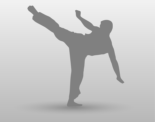Some Types Of Martial Arts Style Martial Art List Some Types Of Martial Arts Style Martial Art List