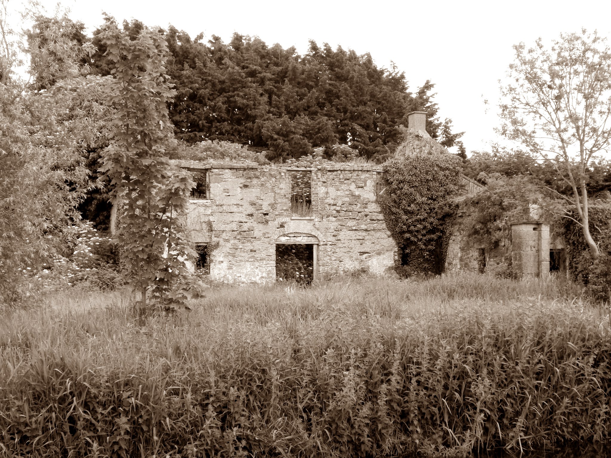 Kilcullen Diary: Corbally Harbour and Waterways Ireland heritage scheme?