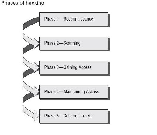 Information, Education: Certified Ethical Hacking