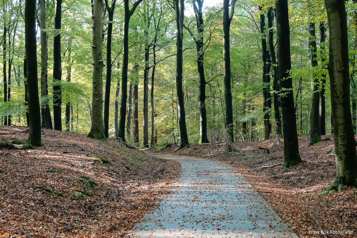 Irma's Natuurbeleving : Natuur