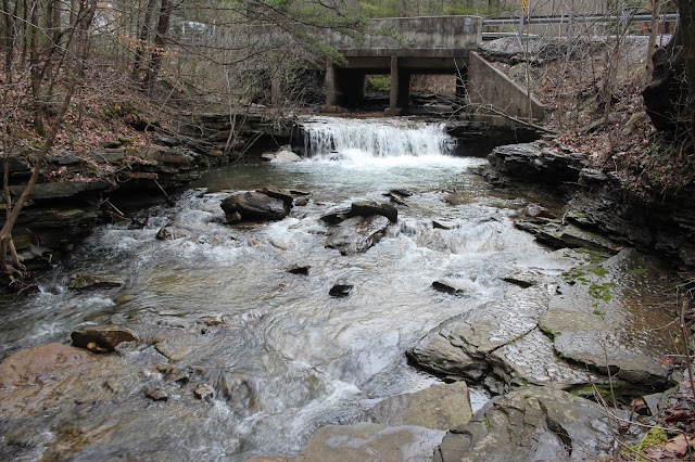 Cumberland Gal: Frozen Head Waterfalls With Grandkids & Daughter