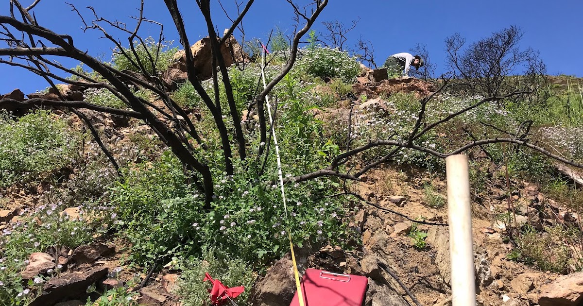 ProRanger Program at Temple University: Week Four With the PSRM Crew!