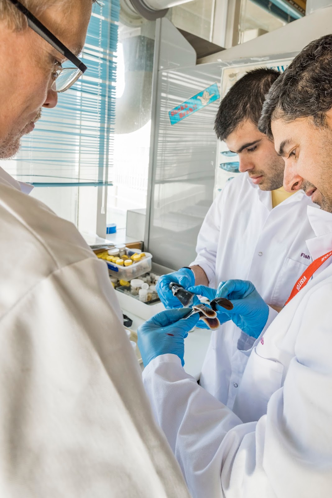 Ciência Polar_______________________ Polar Science: De volta ao ...