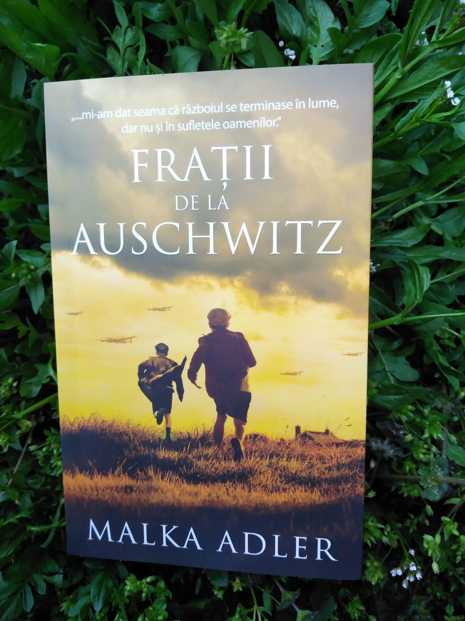 Cuvinte Vrajite: Frații de la Auschwitz - Malka Adler