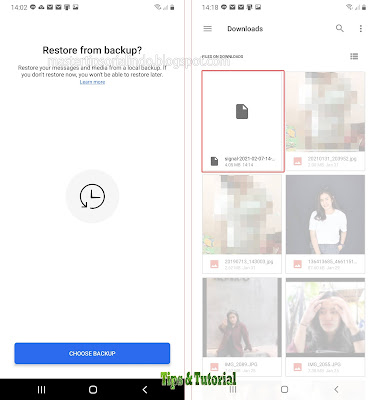 Cara Backup dan Restore Chat Signal - Mastertipsorialindo
