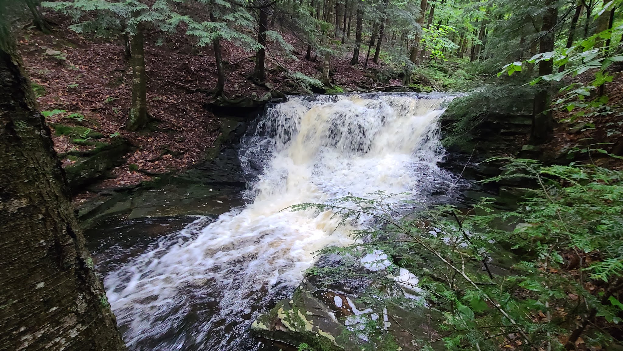 Valley Girl Views: Exploring Waterfalls Near World's End State Park