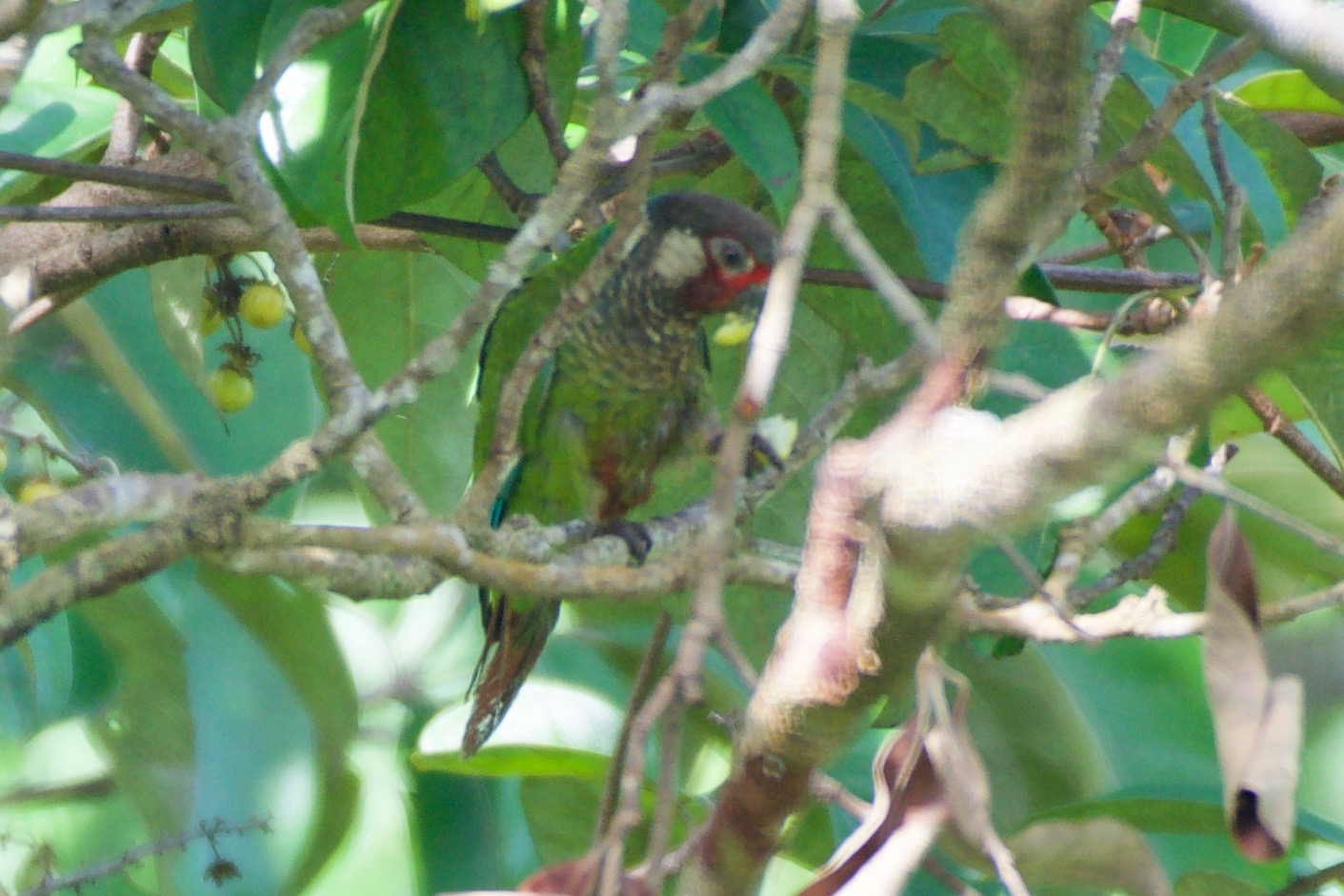 Jan Axel's Blog: All about timing!