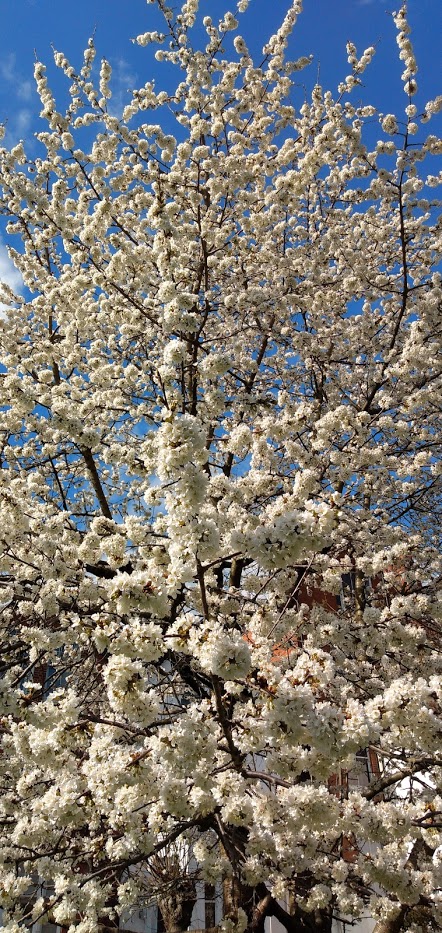 *An English Travel Writer*: Strange Times