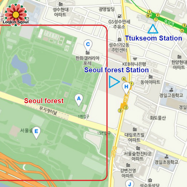 Seoul Forest - Put on your favorite song and then even say "Love you ...