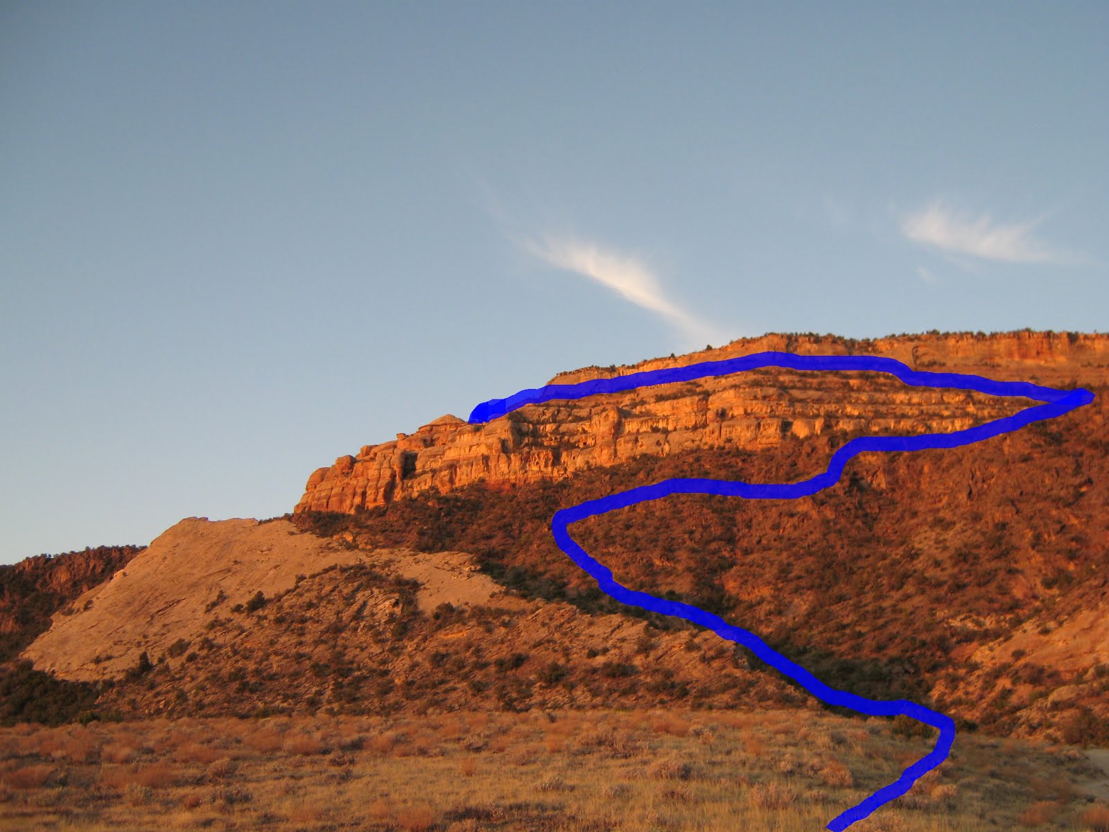 Liberty Cap Locations at John Gemmill blog