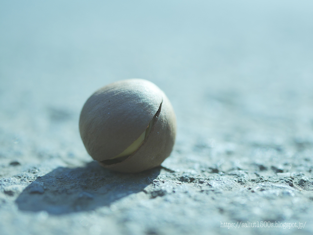 Salut! Saliut! +PLUS: 【ぼろフォト解決シリーズ】『Panasonic LUMIX GF9 脱・初心者マニュアル』を発売しました