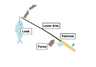 Technology Grade 7 : Seshupo Primary School : Group 4: Week 5: Third ...