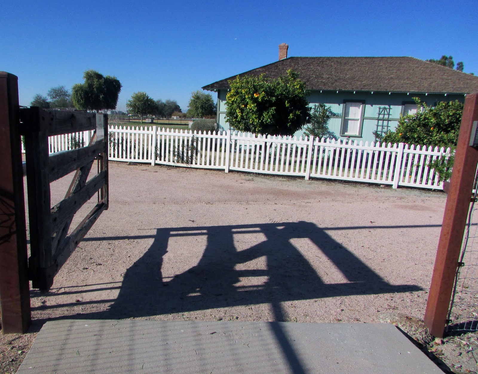 Chandler's Tumbleweed Ranch