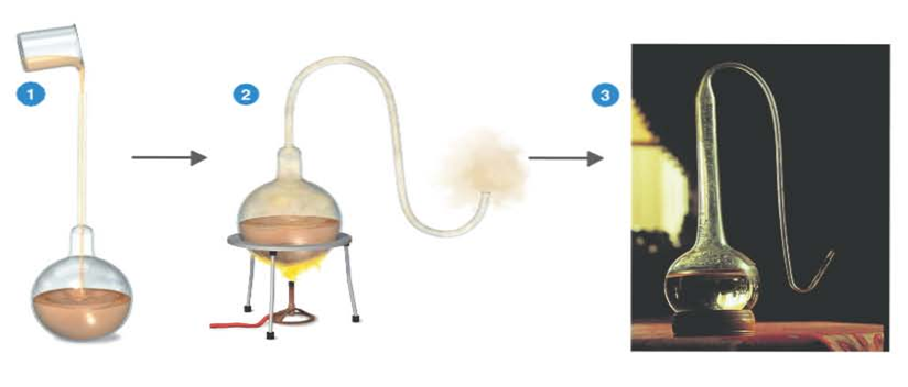 History and Development of Microbiology