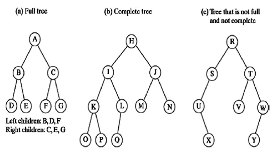 Differences Between Complete Balanced Ordered Full Perfect Binary Tree ~ Comsciguide