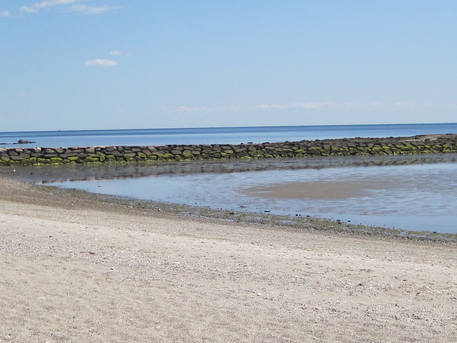 Anne's Creative Cornucopia: Beach - Pictures