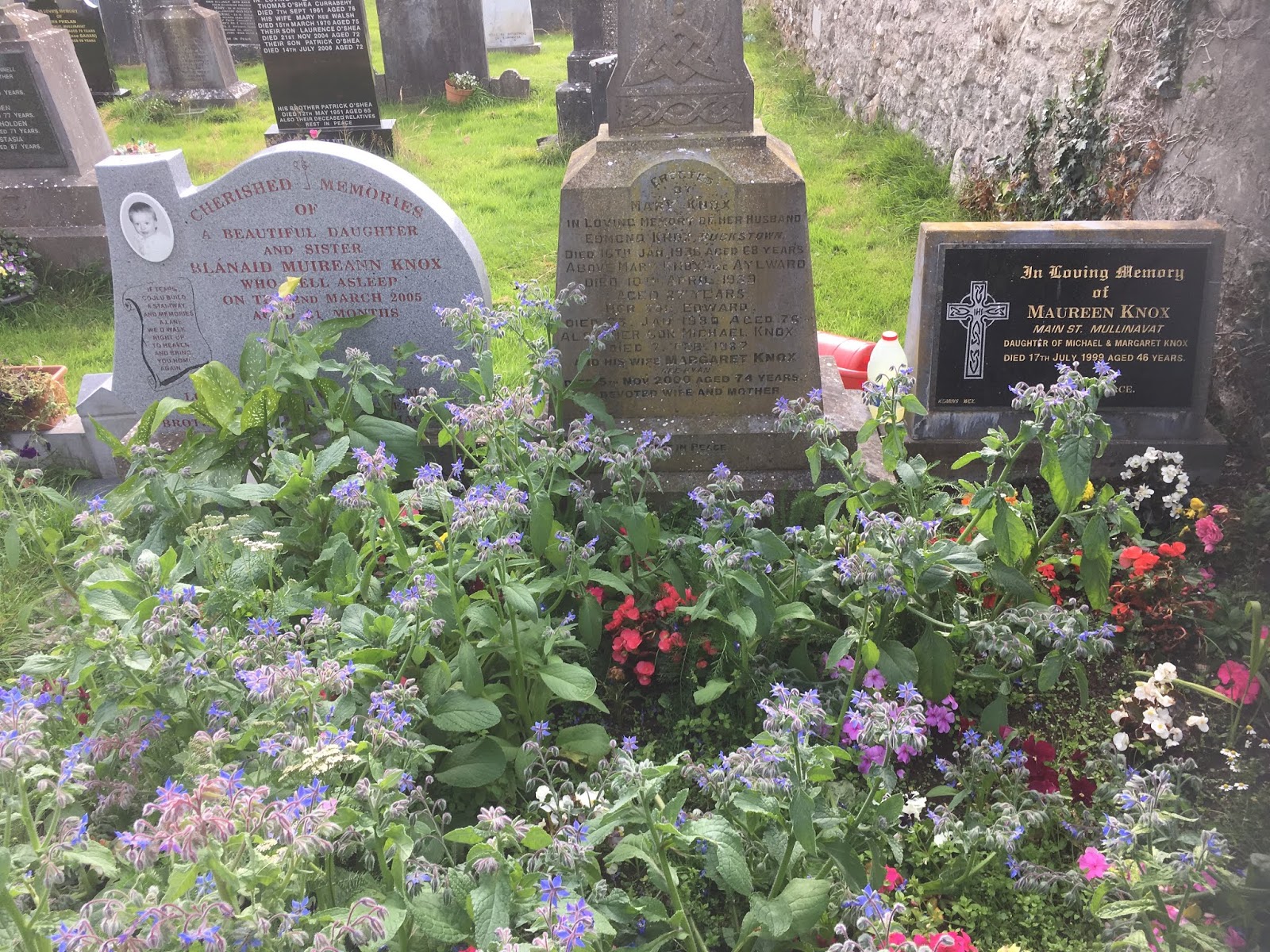 Kilkenny Graveyards: Mullinavat Parish Church and Graveyard dedicated ...