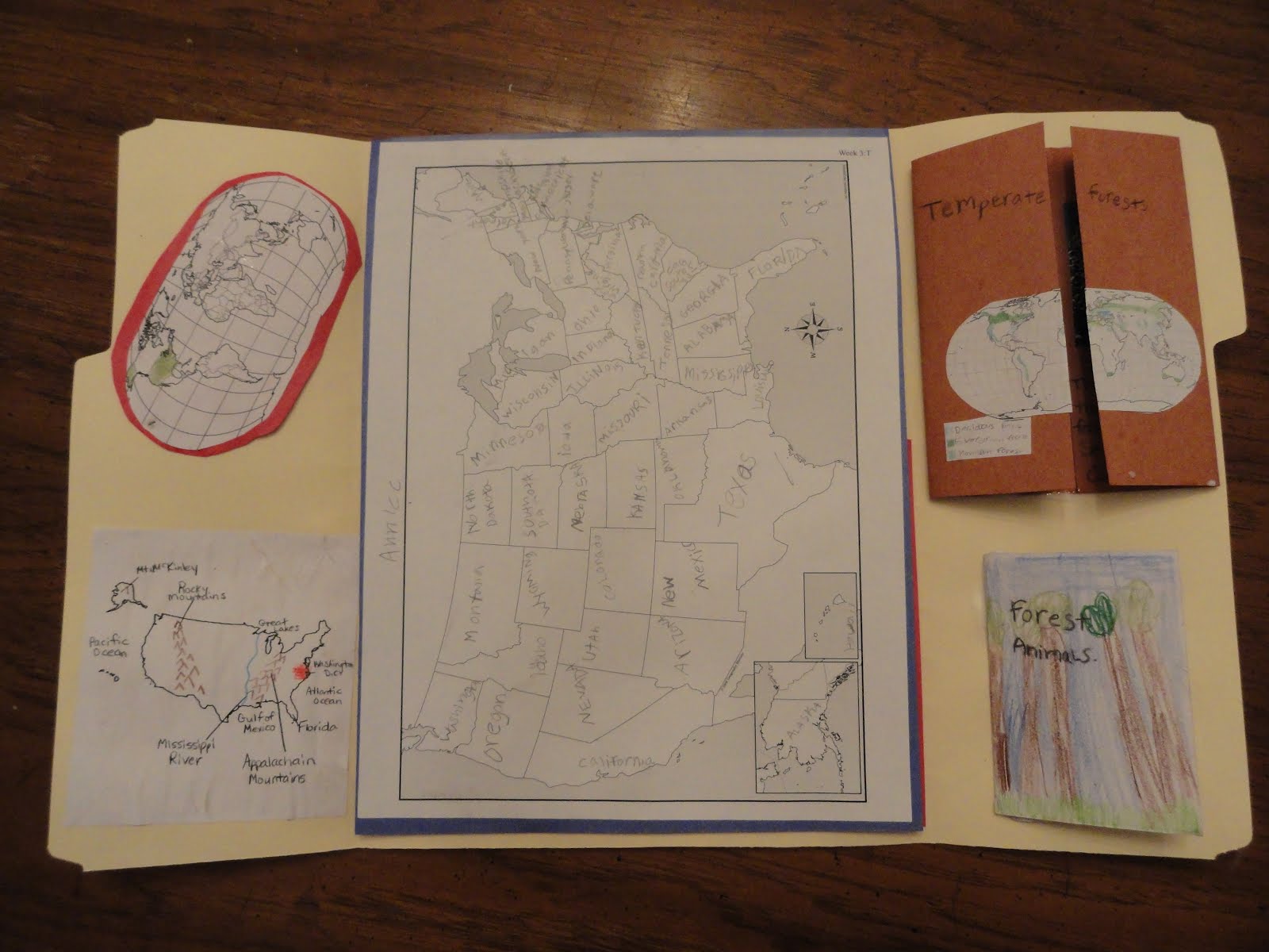 Clay Academy: Week 4 - United States and Forests continued...