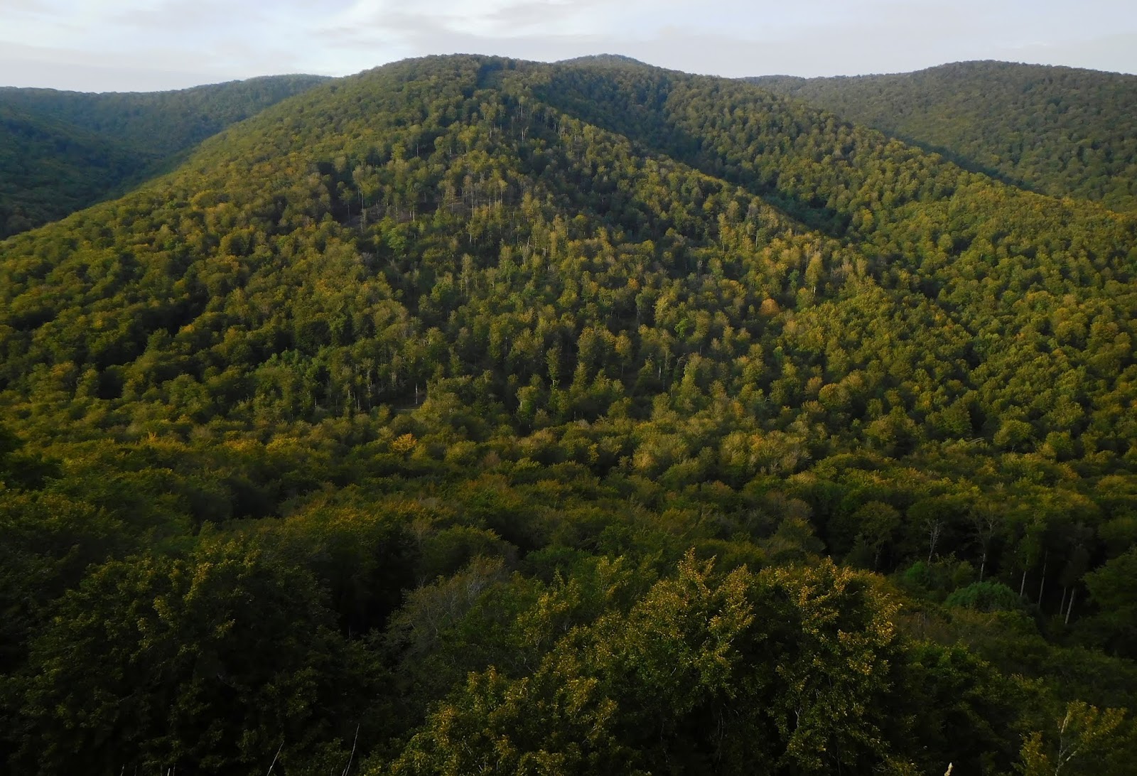 SARABEKO HAITZA desde el VALLE DE SARABE ( URDIAIN ) 159