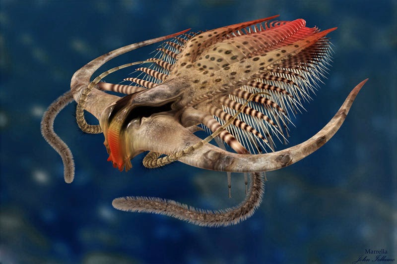 tl;dr: Dawno temu żyły dziwne zwierzęta i pokazuje jak wyglądały ...