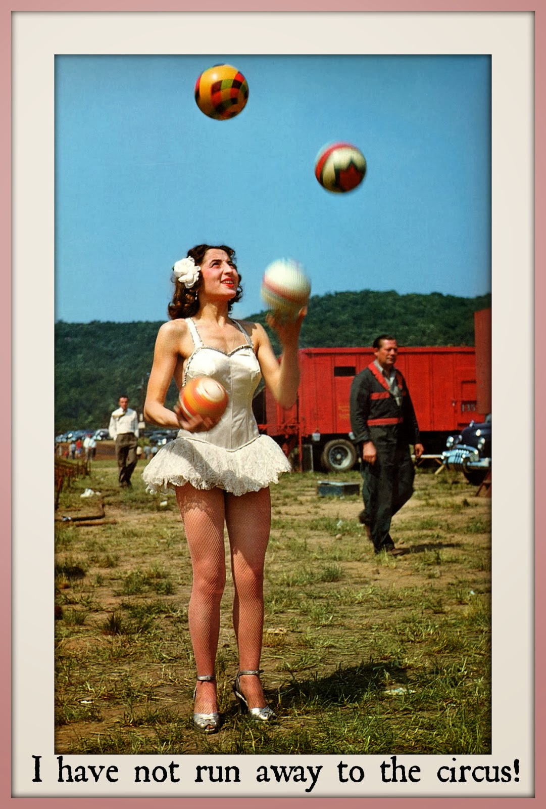 The Empty Nest: Hello....Hello....Is anyone still there?????