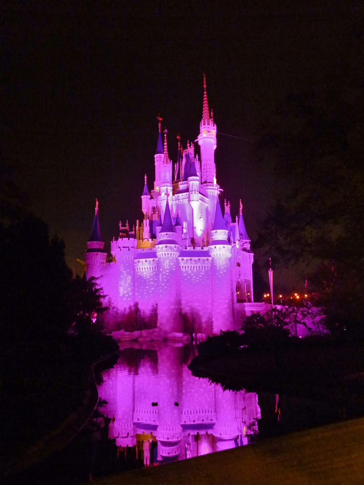 Disney Vacation Kingdom: Cinderella Castle At Night