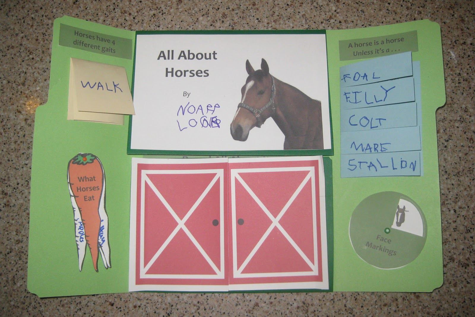 Homeschooling in Heels: All About Horses Lapbook