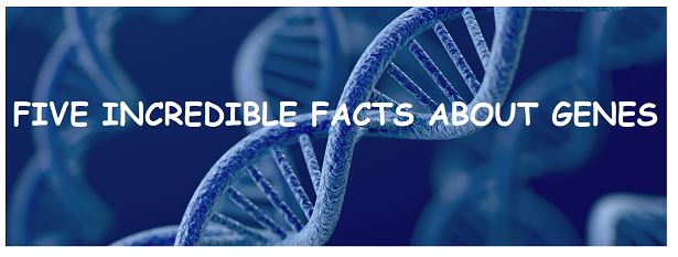 To Discover Ice: Five Incredible Facts About Genes