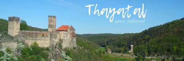 Une journée en Basse-Autriche : des vignes de Retz au parc national de ...
