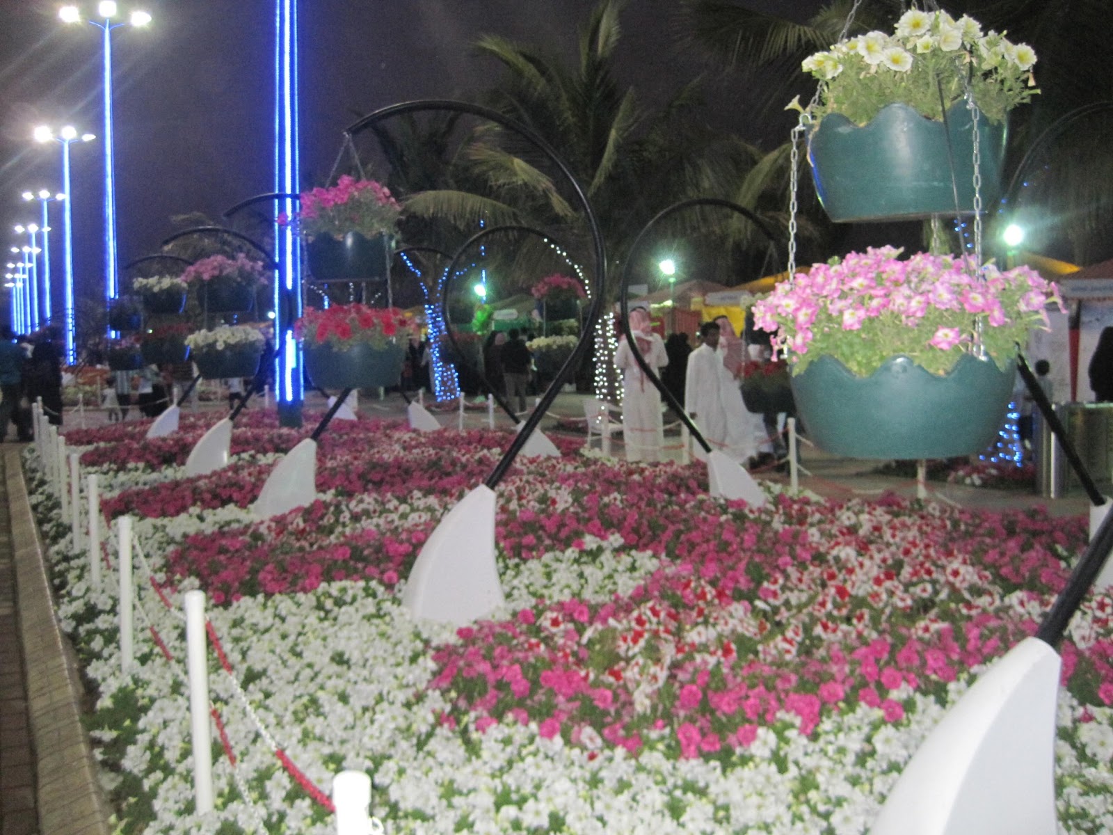 Festival Bunga di Padang Pasir