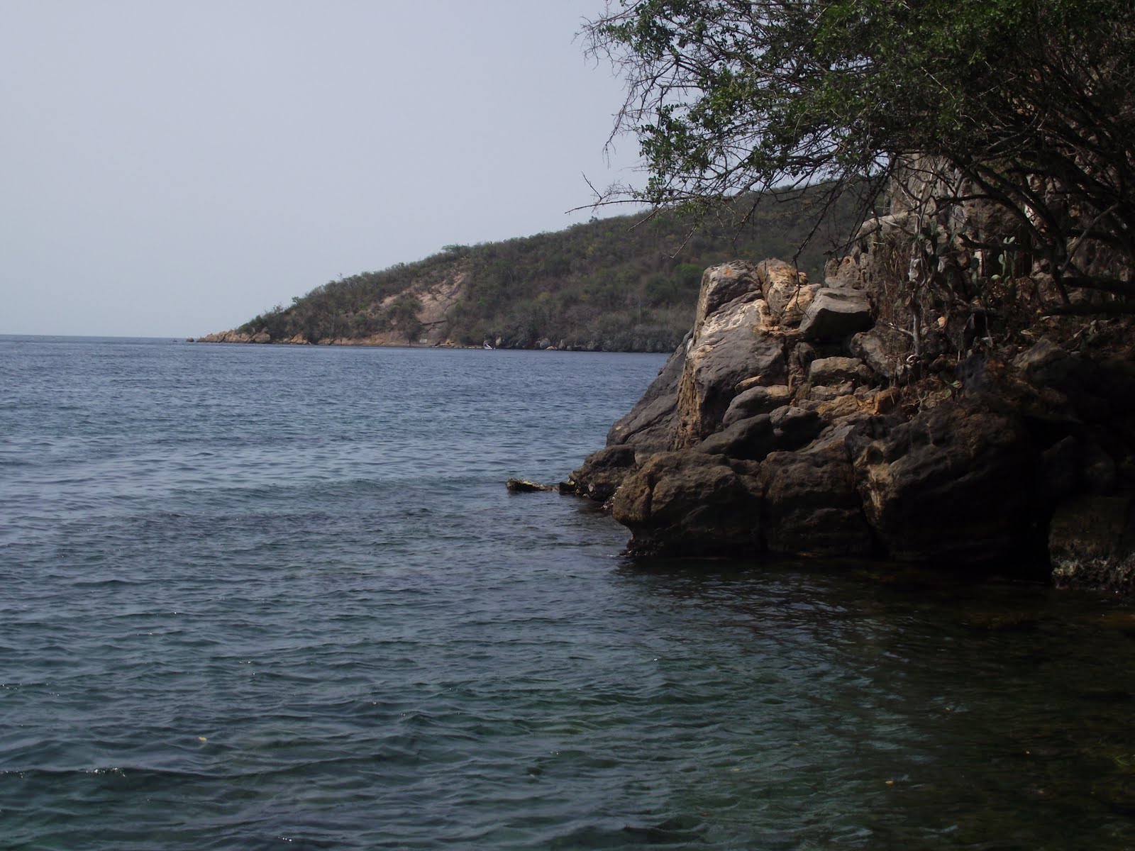 Novedades Paola: Playa Conoma