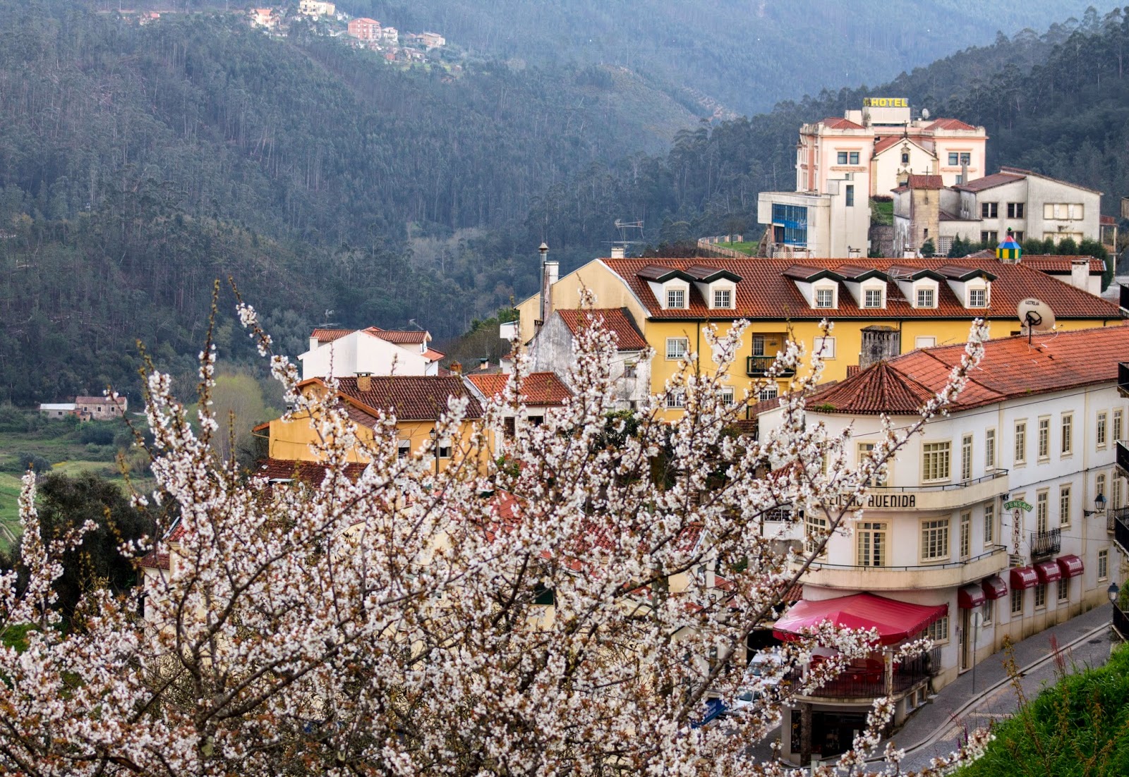 Roteiro Fotográfico de Penacova