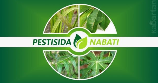 #1. PESTISIDA NABATI (PESNAB)