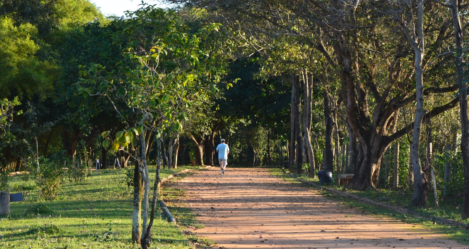Rosangila Fotografias: Parque do Lago. Salto SP