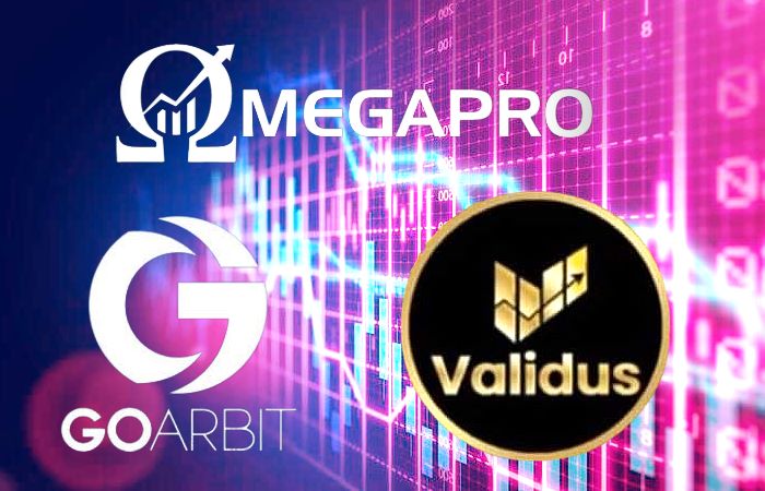 Goarbit, OmegaPro y Validus entre los mayores esquemas de inversión que ...