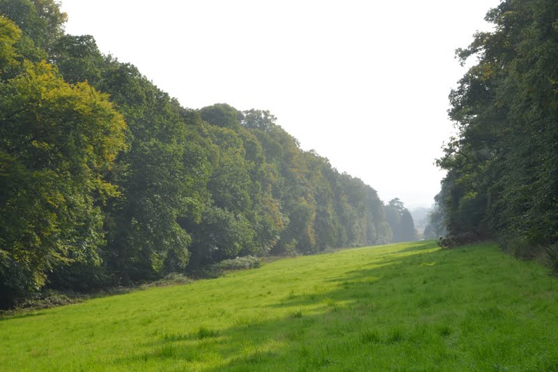 Walks among Flowers: Buckinghamshire: Little Hampden to Cadsden II ...