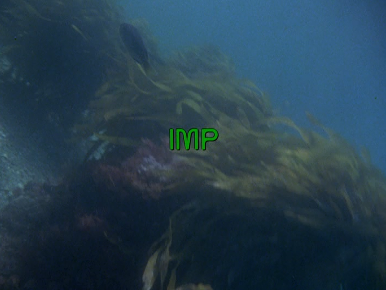 John Kenneth Muir's Reflections on Cult Movies and Classic TV: Man from ...