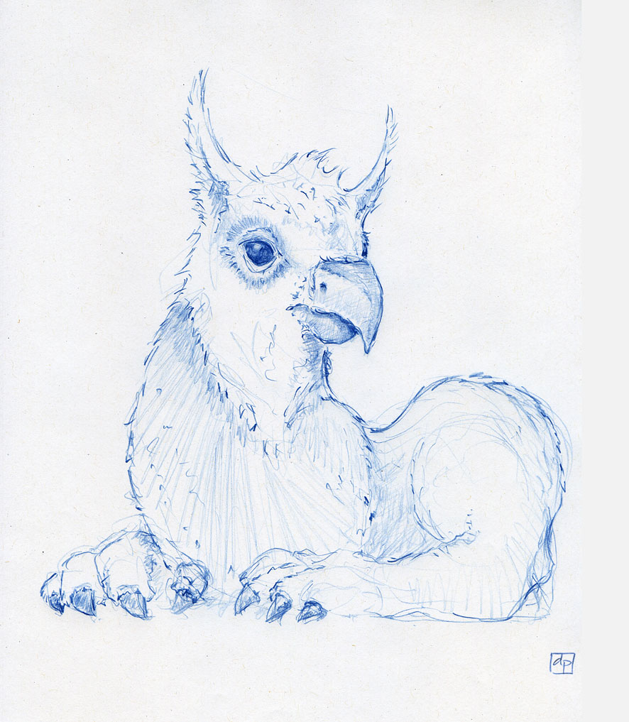 Les dessins de Daniel: Croquis d'un jeune griffon - Sketch of a ...