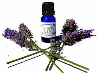 Spotlifes: ΦΥΣΙΚΑ ΚΑΛΛΥΝΤΙΚΑ