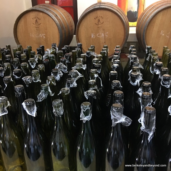 Travels With Carole: Nassau, Bahamas: Graycliff; things to do