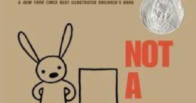 Kids' Book Review: Review: Not a Box