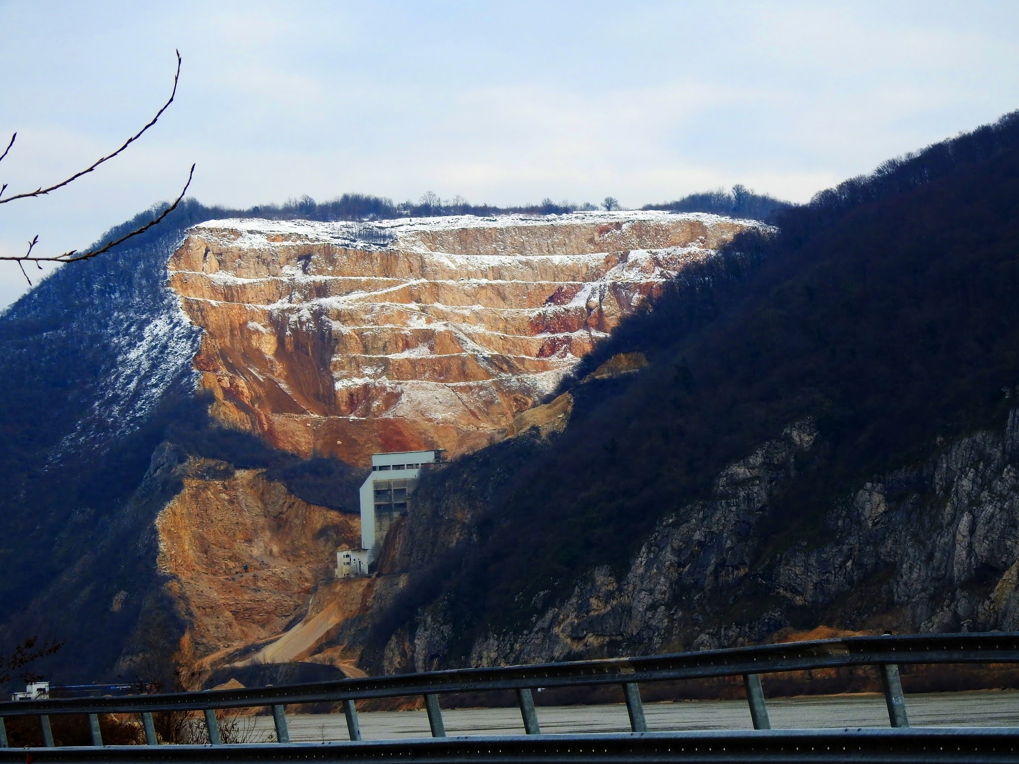 PASARI DIN ROMANIA: ACVILA DE MUNTE, Aquila chrysaetos