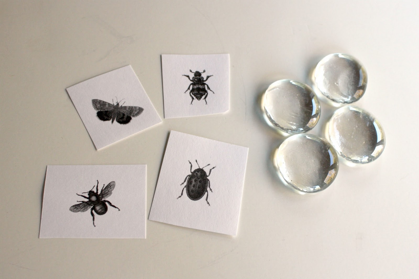 bubble magnets - tutorial - Crazy Wonderful