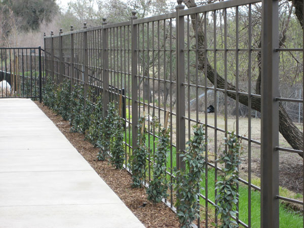 Iron Fencing ~ WROUGHTIRONCONTRACTORS.COM