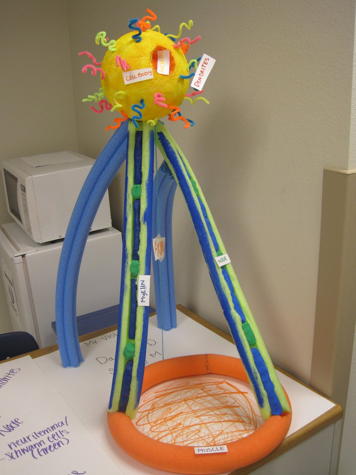 EVIT News: Where creativity and science collide