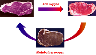 Mom at the Meat Counter: Meat color is a-changin’!