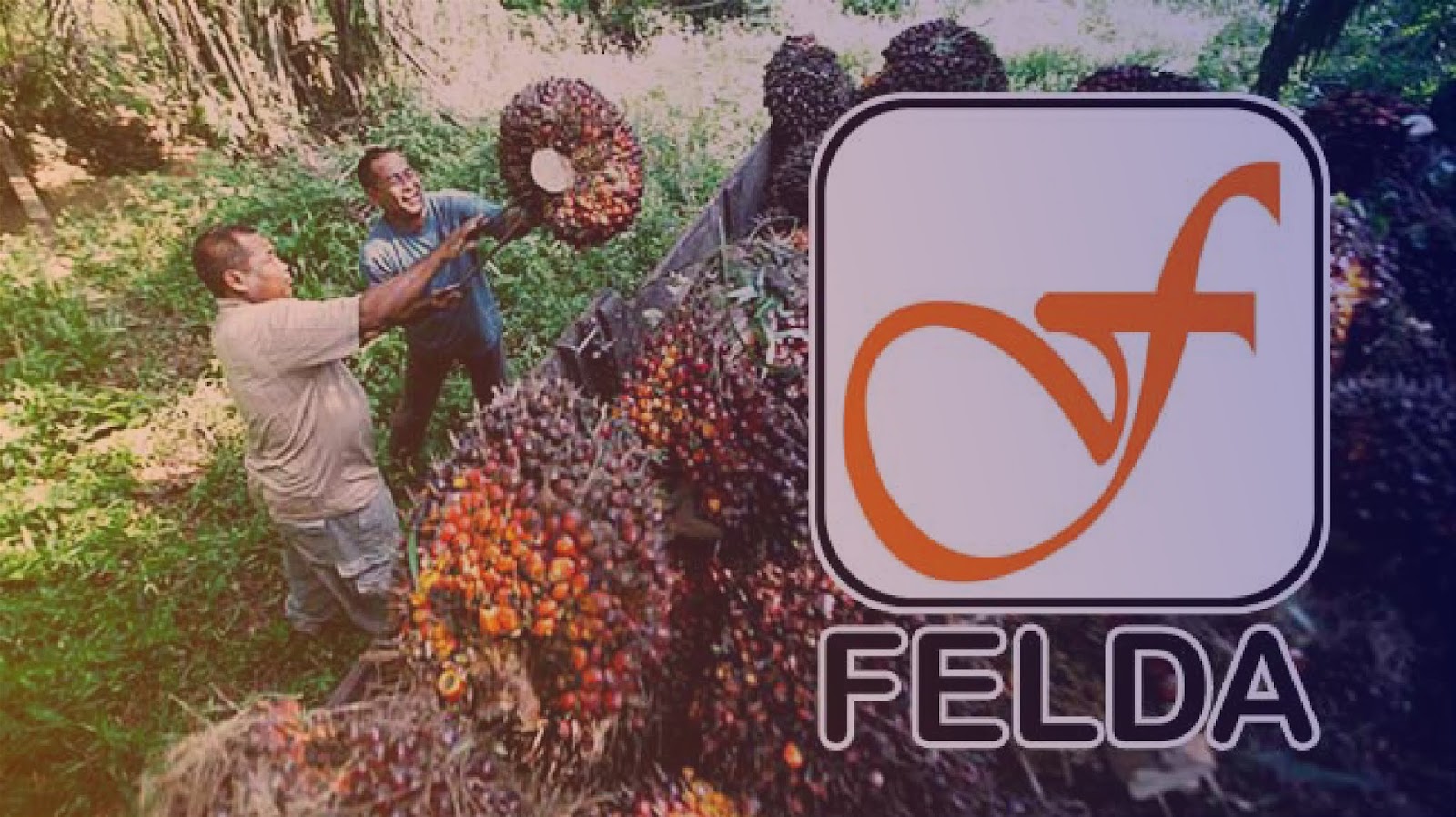 1Media.My: FELDA perlu berani berubah