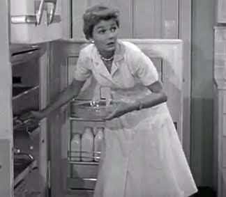 A POP CULTURE ADDICT - IN REHAB: Leave It To Beaver and Mrs. Cleaver
