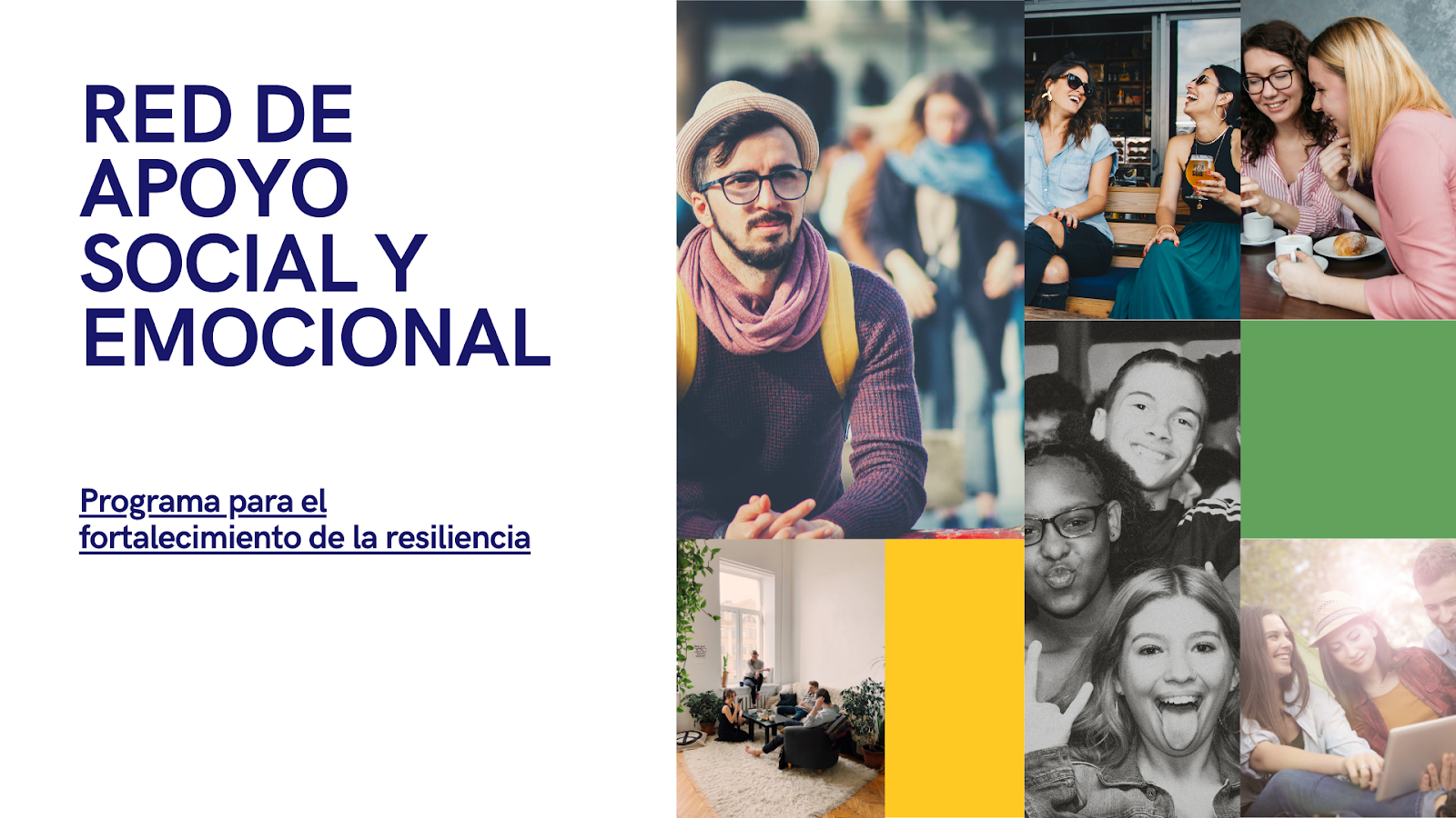 Patricia Silvestre Psicóloga